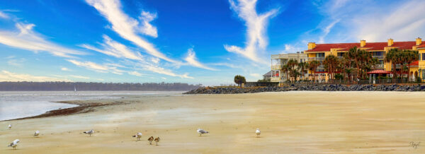 SHORELINES | Savannah Sam Photography